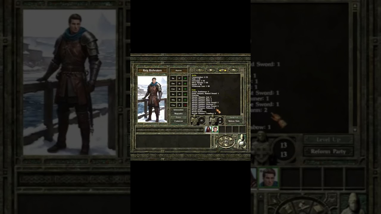 New NPC in Icewind Dale 2 - Reig Redwaters