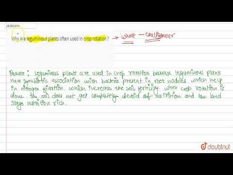 Why are leguminous plants often used in crop rotation ?