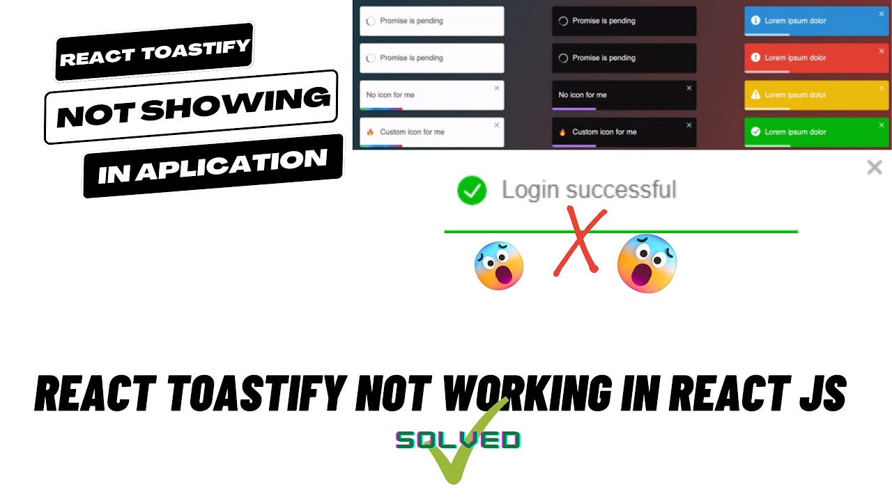 How to Solve Reactjs Toastify Not Working Not Showing Error