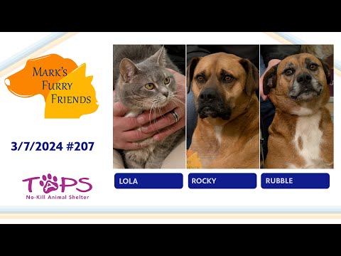 Lola, Rocky, and Rubble | Mark's Furry Friends | #207