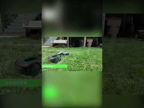 Comparing the TOP 3 robotic mowers under $1000