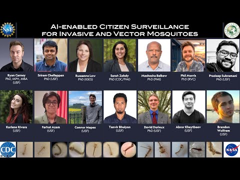 AI-enabled Citizen Surveillance for Invasive and Vector Mosquitoes