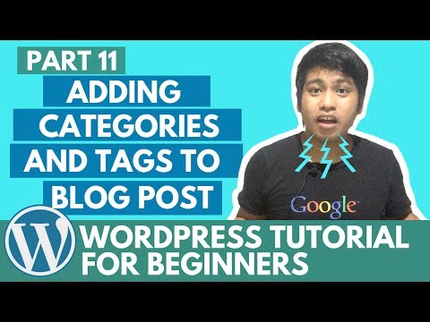 WordPress Tutorial for Beginners - Adding Categories and Tags to Blog Post - Part 11