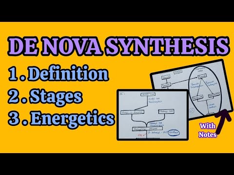 De nova synthesis||Definition|| stages|| location|| End product
