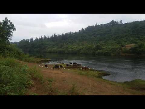 How nice Nature of India