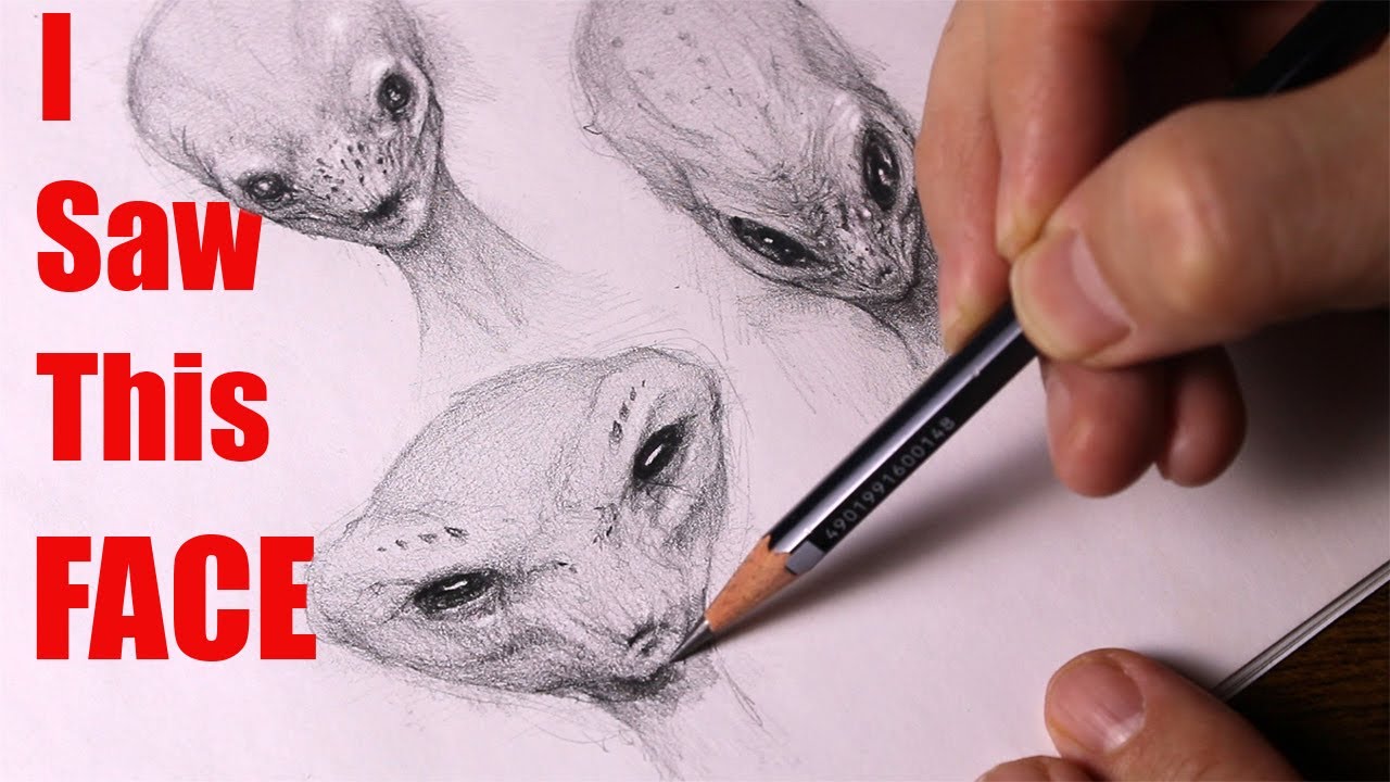 Alien Abduction | Sketching Extraterrestrial Creatures
