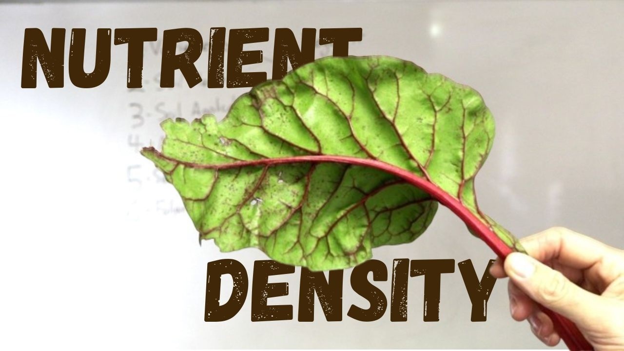 Grow Nutrient Dense Food