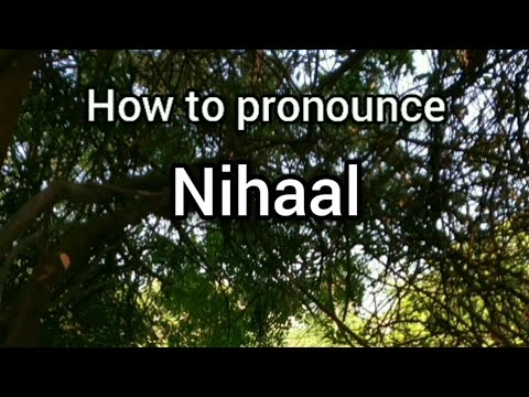 How to Pronounce Nihaal