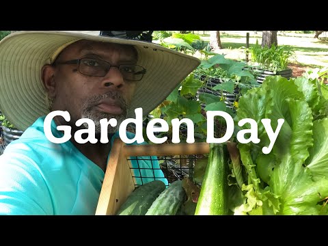 🌶️🥒🍅- Garden Day: Removing Old Plants, Planting New & Trellising Techniques