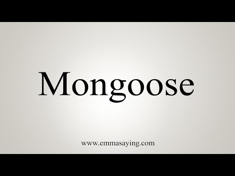 How To Say Mongoose