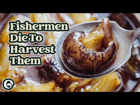 Is This the Rarest Seafood?
