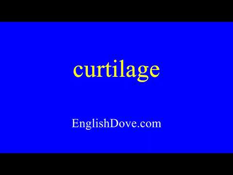 How to pronounce curtilage in American English