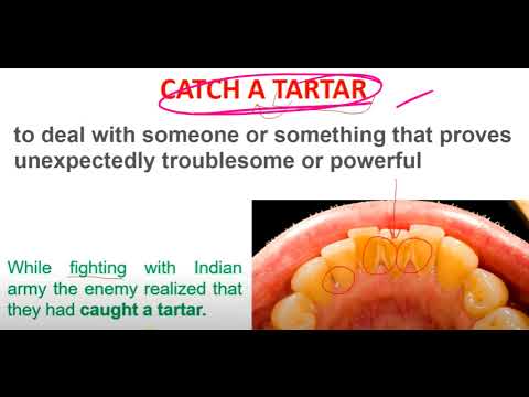 Catch a Tartar