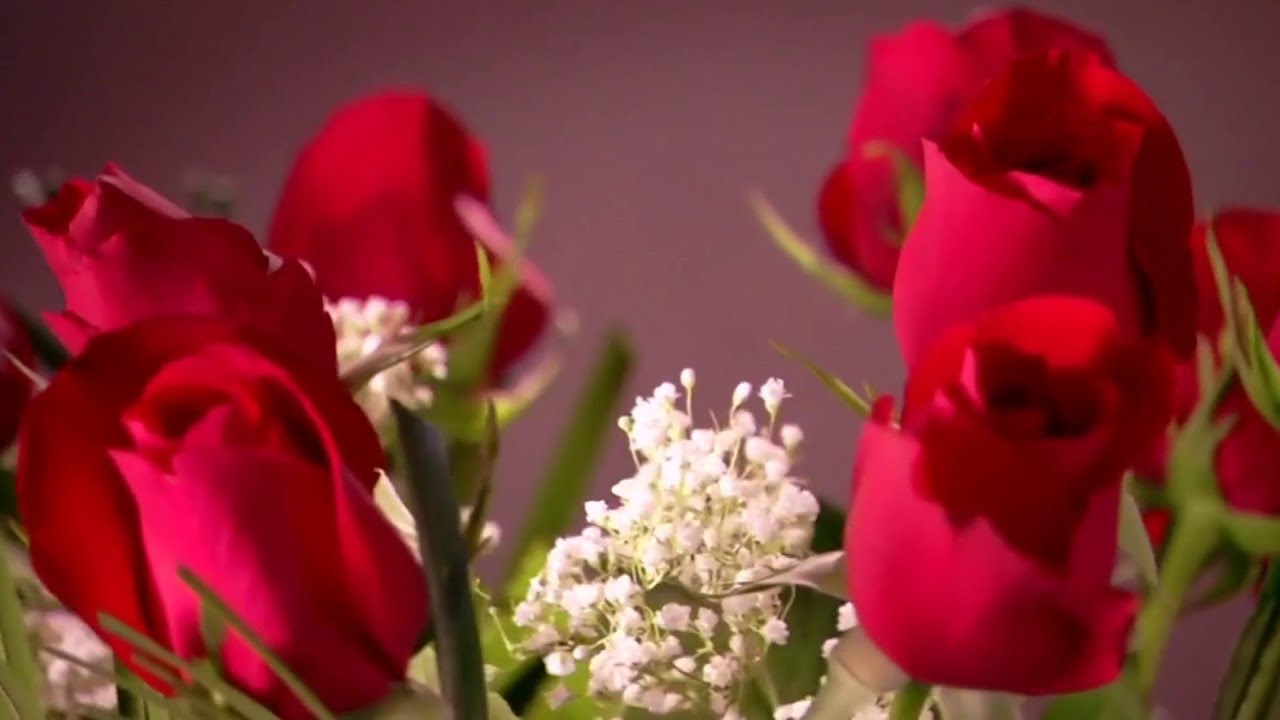 Why roses are more expensive this Valentine's Day