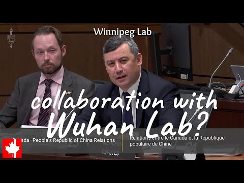 Is there ongoing collaboration between Winnipeg Lab and any entities in China, including Wuhan Lab?