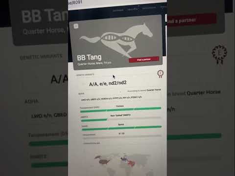 What breed is in your horse? Texas A&M vs Etalon Equine Genetics