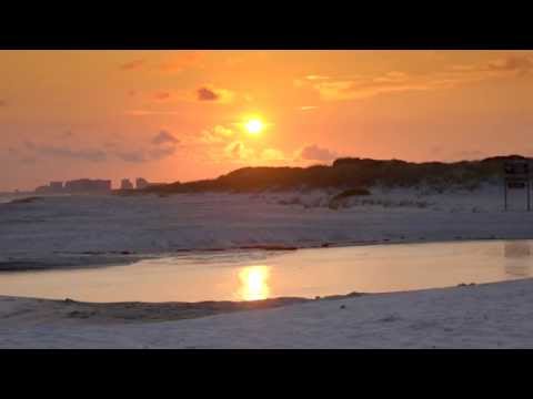 Ethos, Pathos, Logos of Water, Sand, Life - Episode 15 - Coastal Dune Lakes
