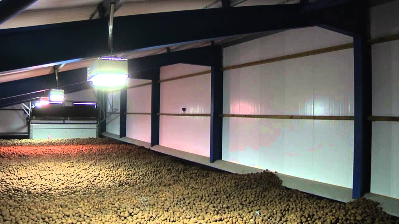 Potato Store final