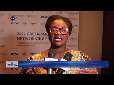 Youth can leverage the green economy to create jobs - GEA boss