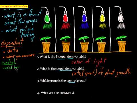 Experiments Explained: Clear and Simple! Learn the Basics