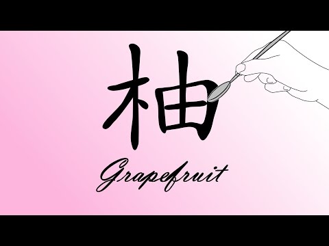 How Chinese Characters Work