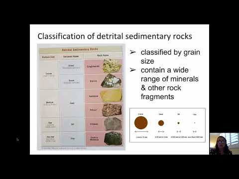 Sedimentary rocks
