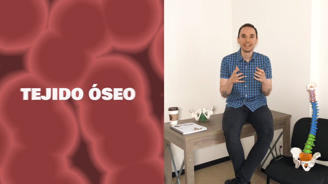 Tejido Óseo: Funciones y Generalidades
