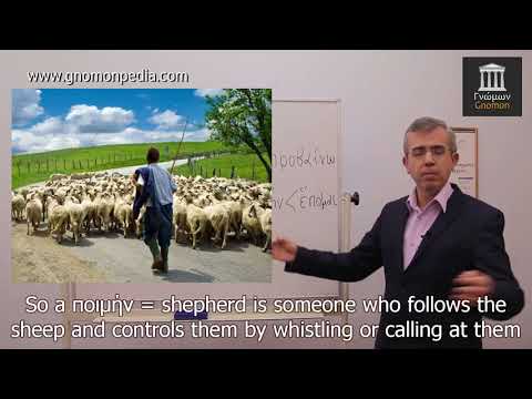 Etymology Of the word ΠΡΟΒΑΤΟΝ (sheep) - Gnomon Ancient Greek Language, History and Culture School