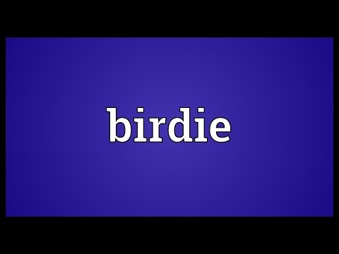 Birdie Meaning