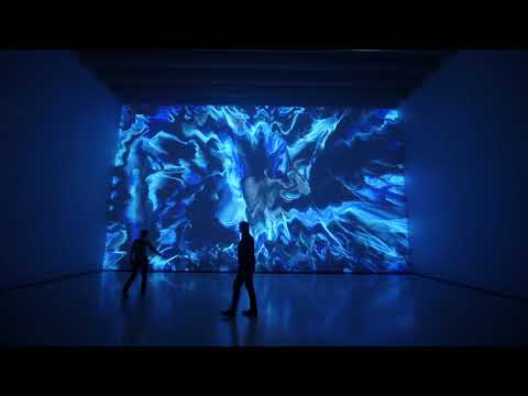 Pixels Noir Lumière 2019 by Miguel Chevalier