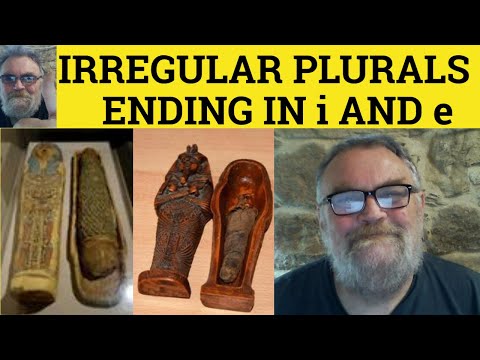 π΅ Irregular Plurals Ending in i Irregular Plurals Ending in e Cacti Bacilli Fungi Nuclei Sarcophagi