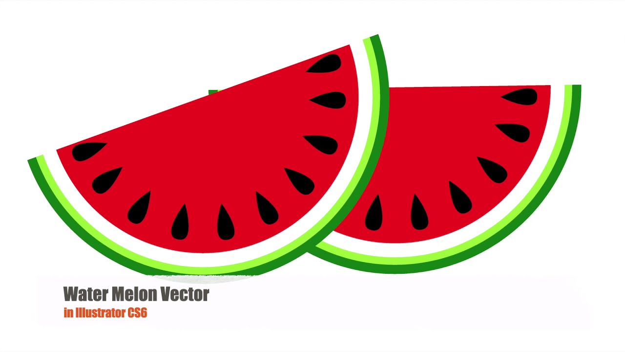 Water Melon Vector Art [HD]