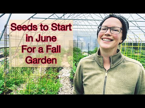 June Seed Starting for a Fall Garden | PNW Zone 8b