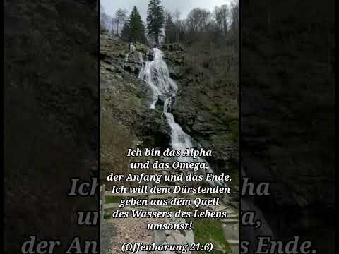 Das Wasser des Lebens
