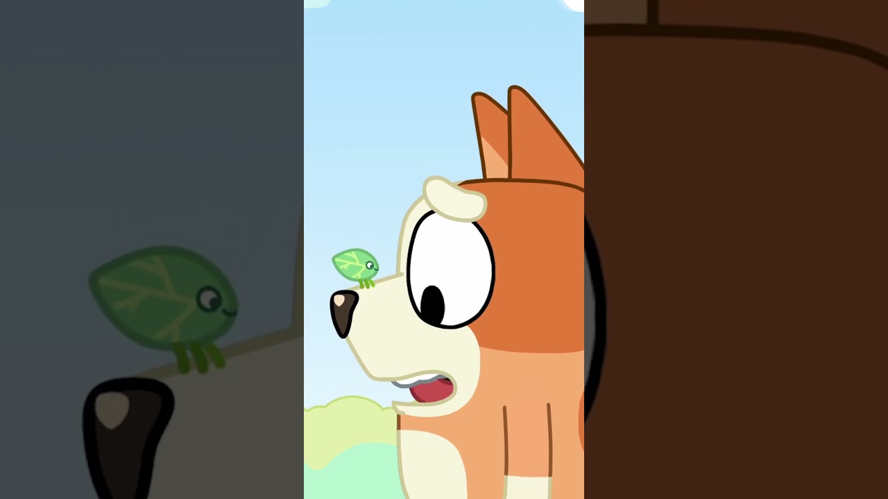 Bingo Meets a Walking Leaf! 🍃 | Bingo - Official Channel #ytshorts