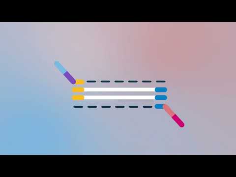 Illumina Target Enrichment Workflow
