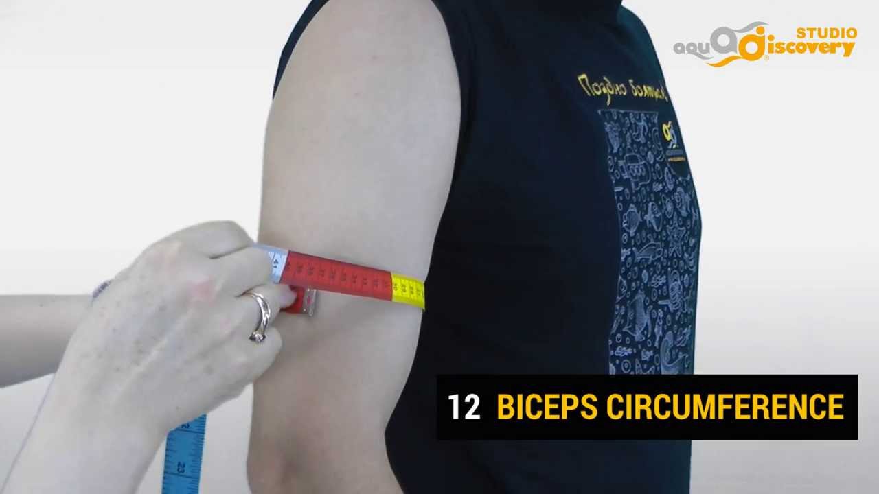 12 BICEPS CIRCUMFERENCE Aquadiscovery Studio