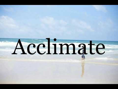 How To Pronounce Acclimate🌈🌈🌈🌈🌈🌈Pronunciation Of Acclimate