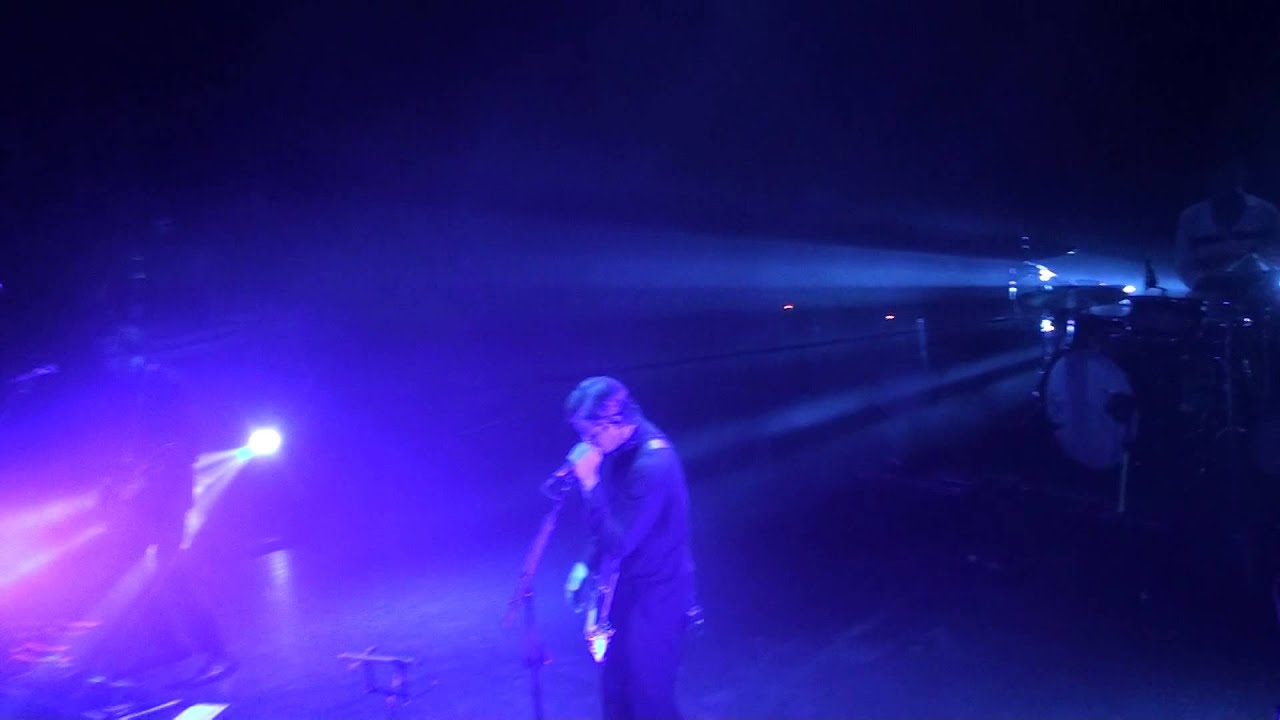 INTERPOL - Paris - 27.01.2015