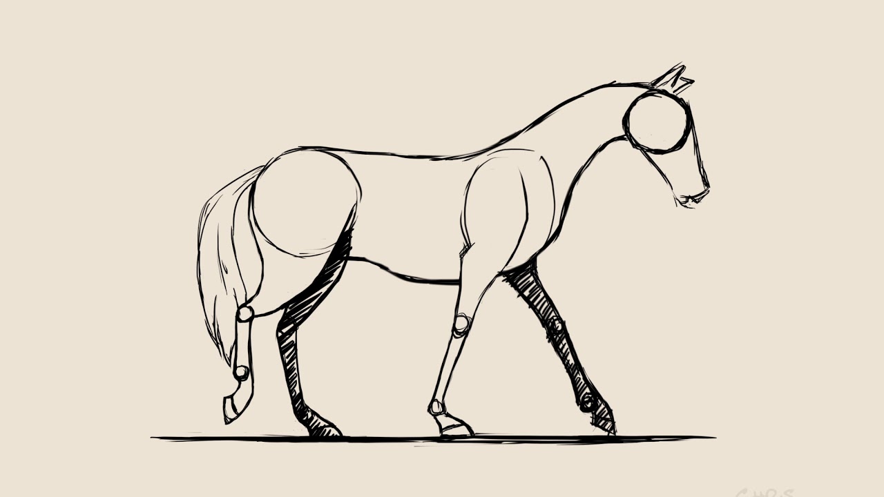 Horse Walk Cycle