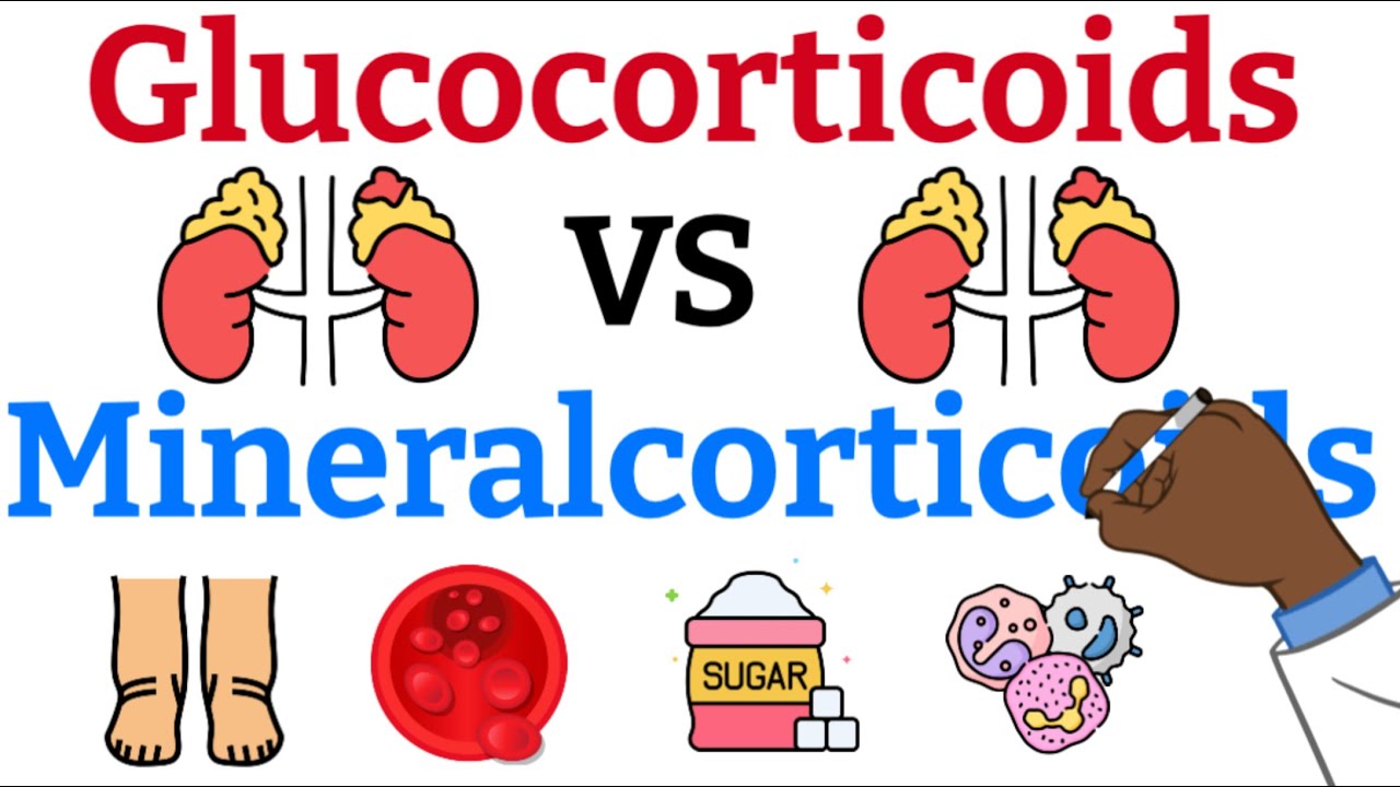 Glucocorticoids vs Mineralcorticoids (Why you must consider this before choosing a steroid)