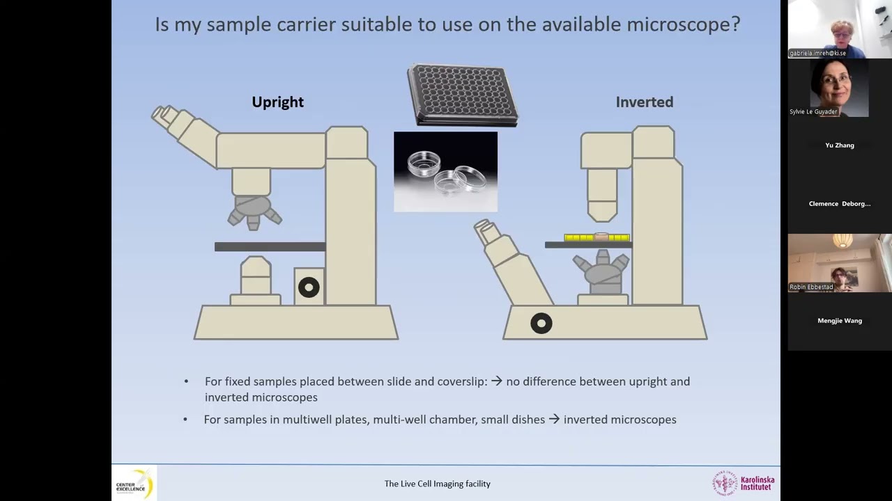 Sample preparation tips   2026