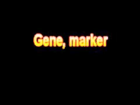 What Is The Definition Of Gene, marker - Medical Dictionary Free Online Terms