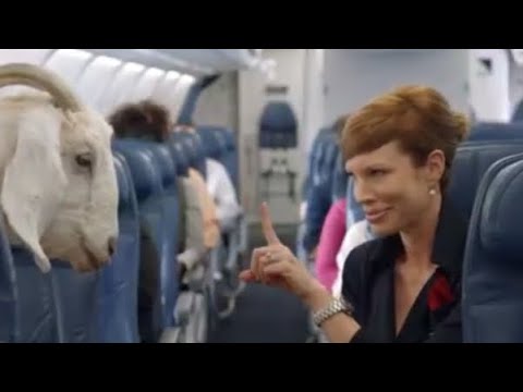 Companion, and smoking is still not allowed on any Delta flight – Chris ...