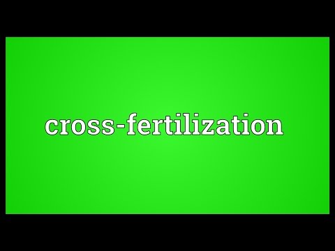 Cross-fertilization Meaning