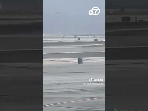 Nobody at SFO wants to take off during windy weather, except this bag