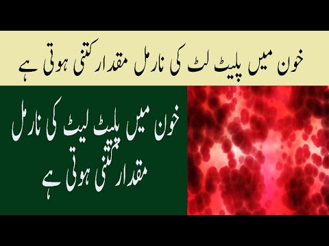 Platelet Normal Range In Blood In Urdu Khoon Ma Platelet Ki Miqdar