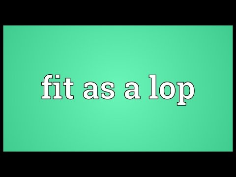 Fit as a lop Meaning