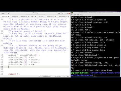 What is Polymorphism and How do You Use It in C++