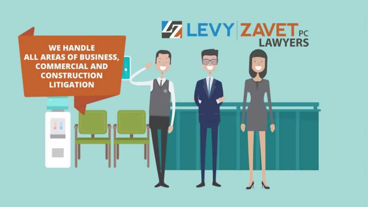 Levy Zavet Litigation Lawyers